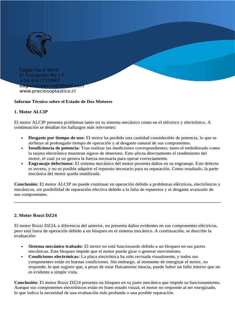 Informe Técnico: Estado de Motores ALCIP y Rozzi | PDF | Motores