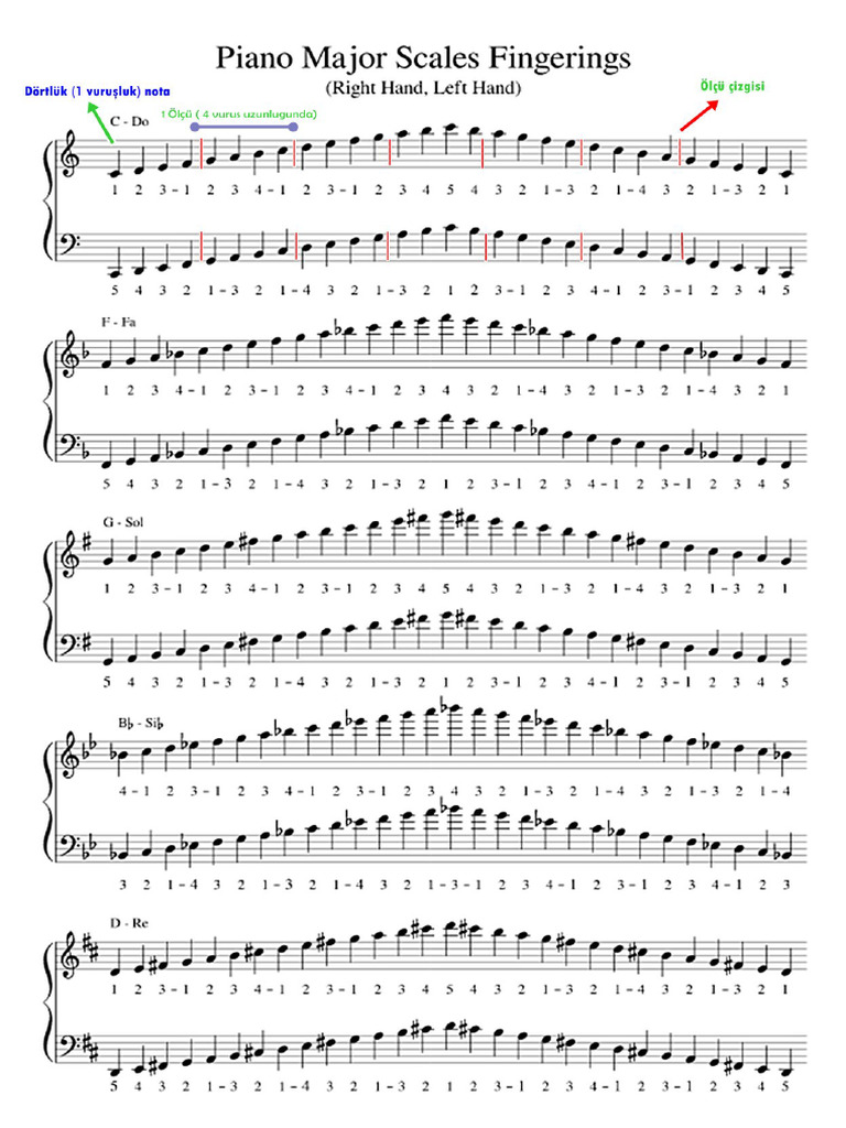 Major Scales Fingering for Piano | PDF