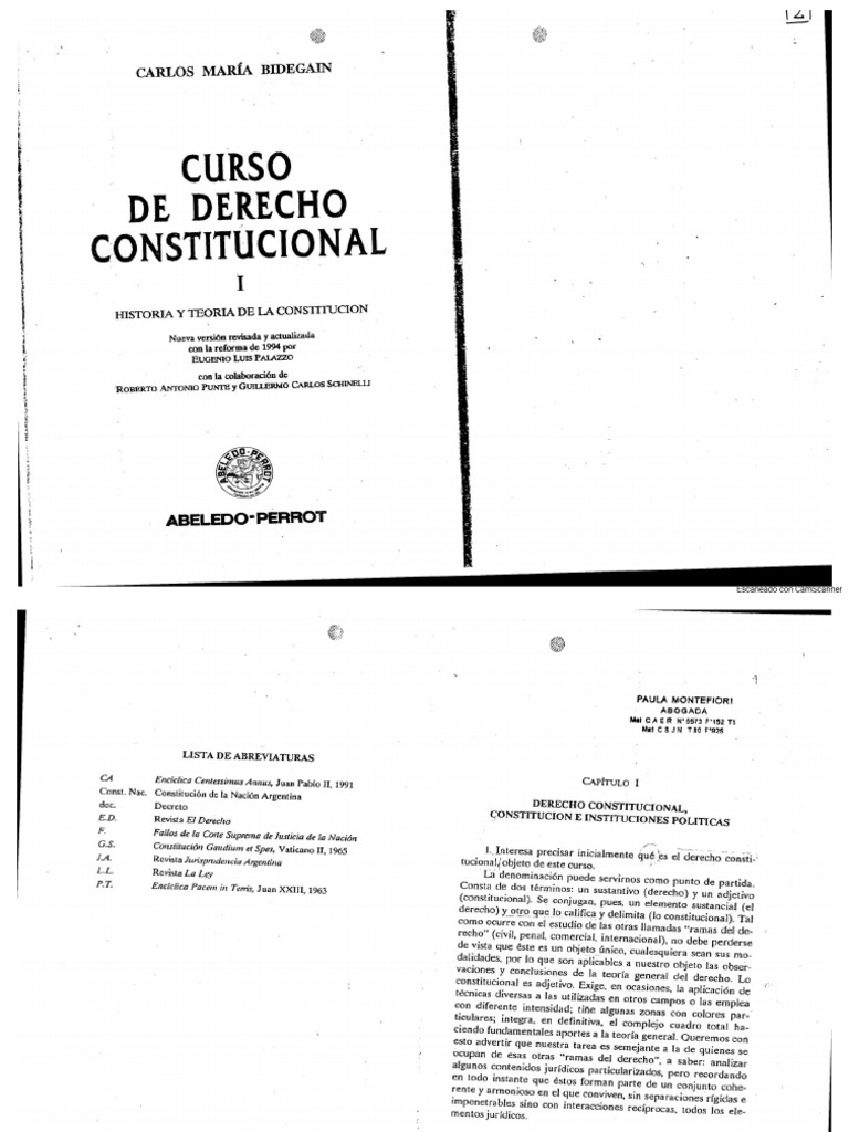 TEXTO 2 - D Constitu, Constitucion e Inst Pol - Cap I - BIDEGAIN | PDF