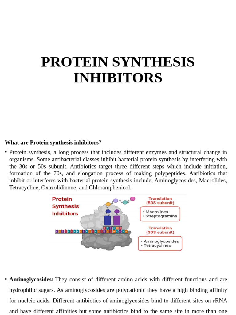 Overview of Protein Synthesis Inhibitors | PDF | Translation (Biology ...