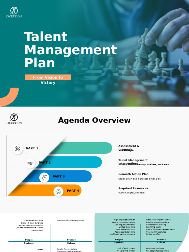 Comprehensive Talent Management Plan | PDF | Talent Management | Human ...