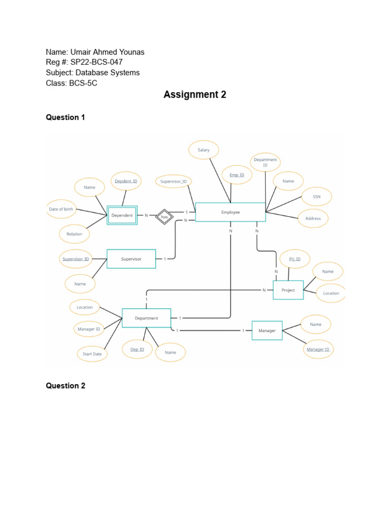 Database ER Diagram | PDF