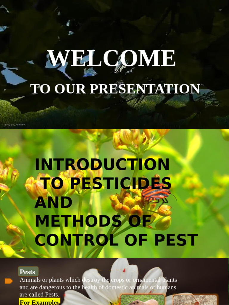Pesticides and Pest Control Methods | PDF | Pest (Organism) | Fungus