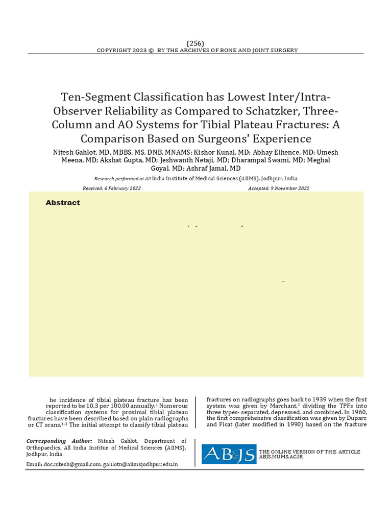 10 Segment Classifications | PDF | Ct Scan | Musculoskeletal System