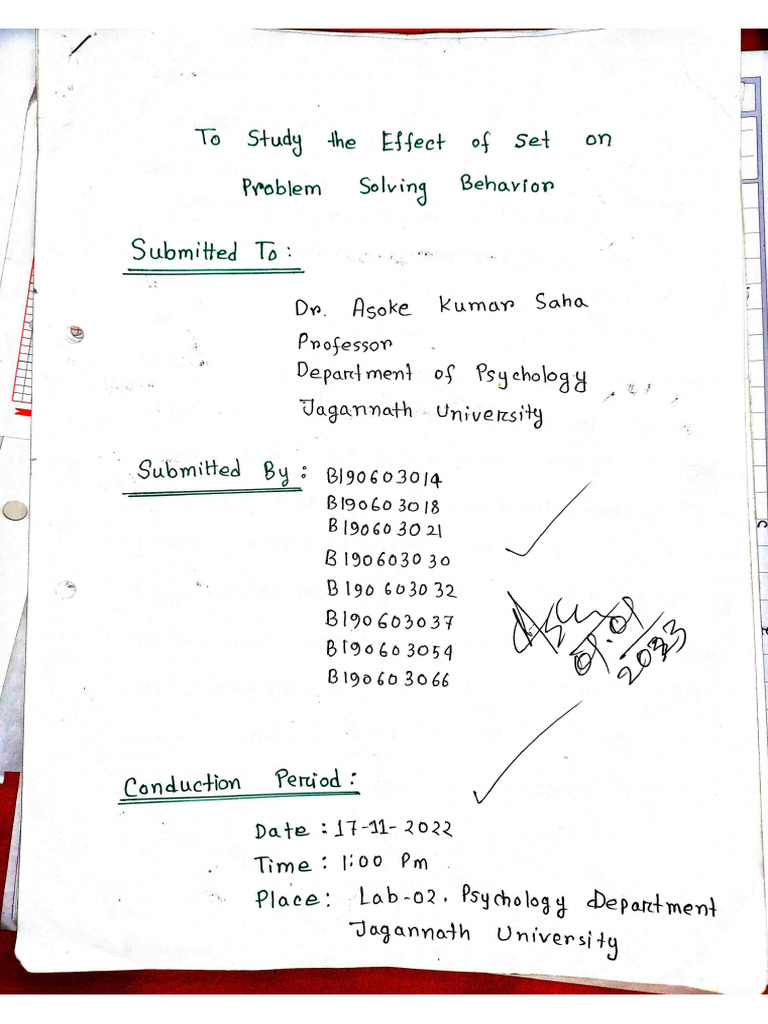 Problem Solving Behaviour | PDF