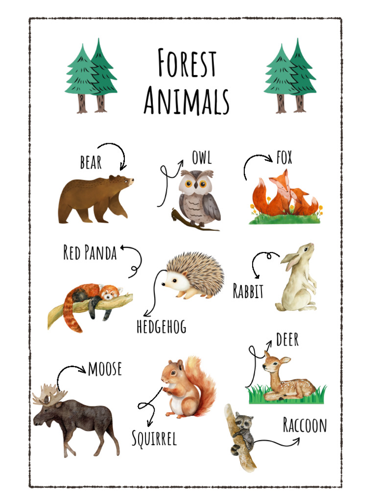 g3 Forest Animals | PDF