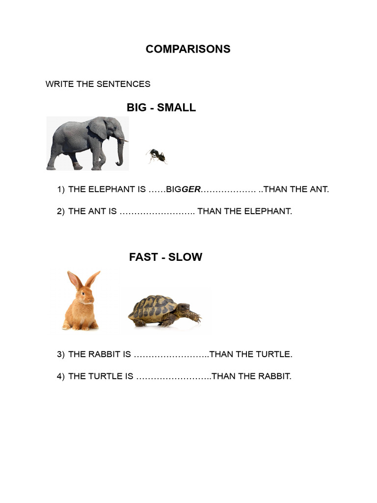 Comparison Sentences Exercise | PDF