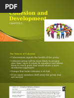 Carron's Model of Team Cohesion Factors | PDF | Leadership | Group ...