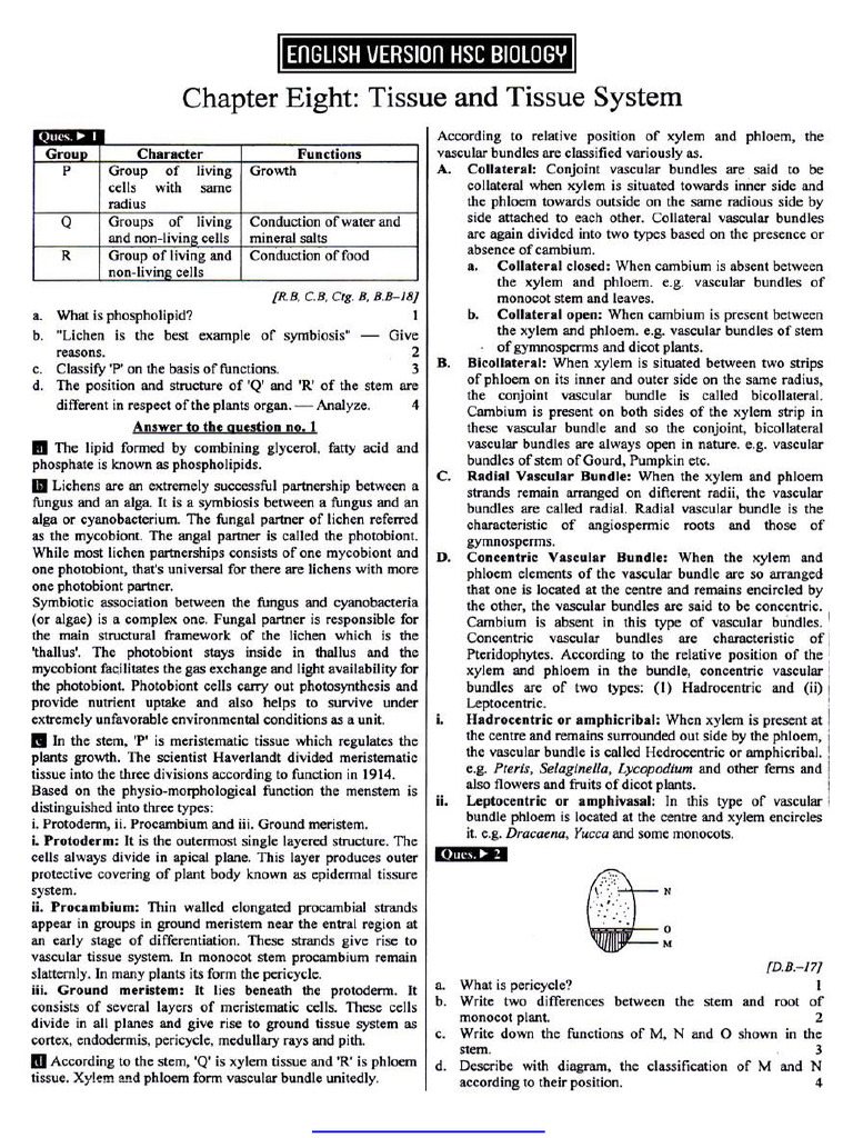 HSC Ev Biology 1st Paper 8th Chapter Note | PDF