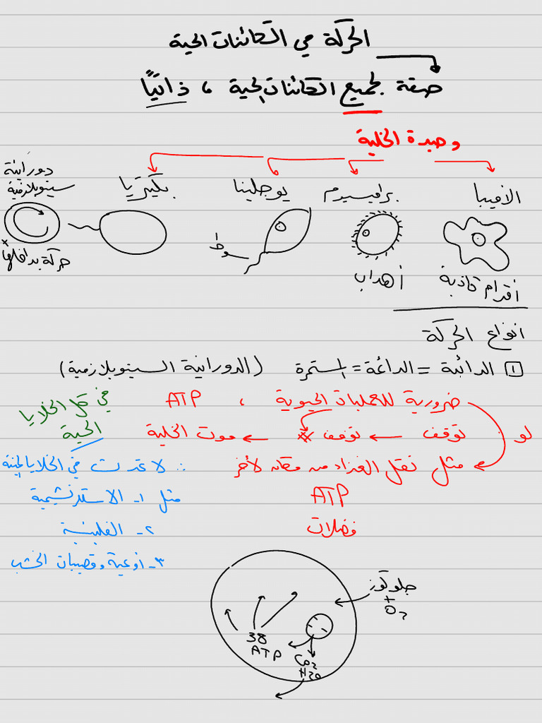 Vo 4 TDT COw VFH 4 C4 VBWJSN R9185 Zikq LF WV FXD GBK | PDF