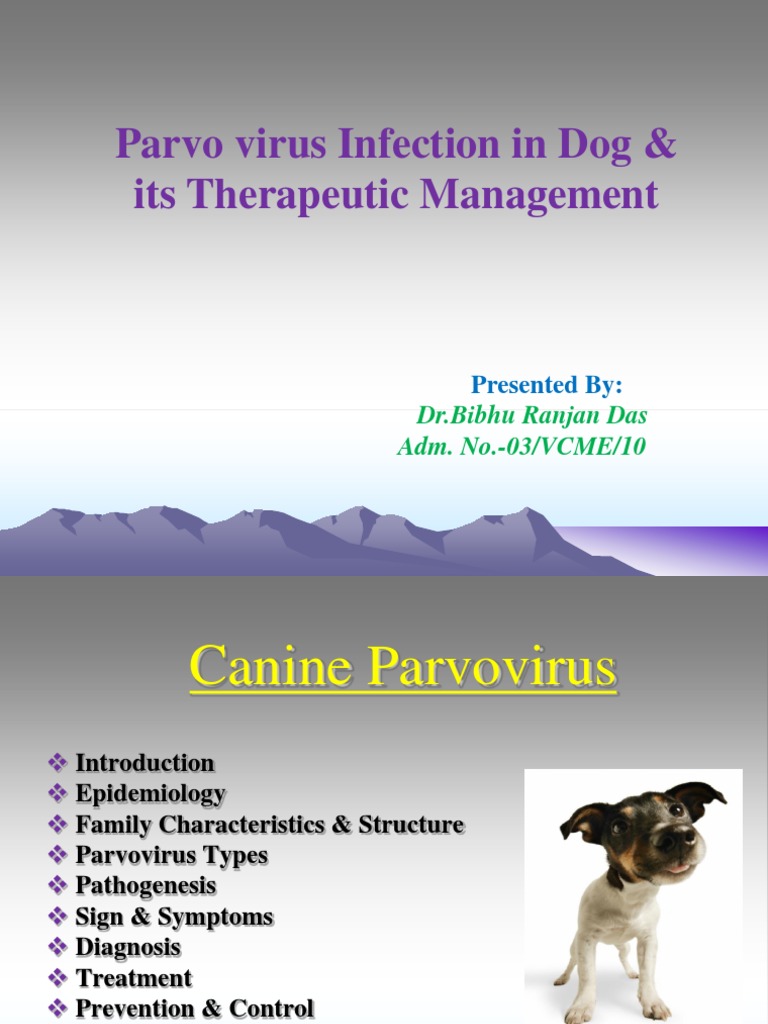 Canine Parvovirus Structure