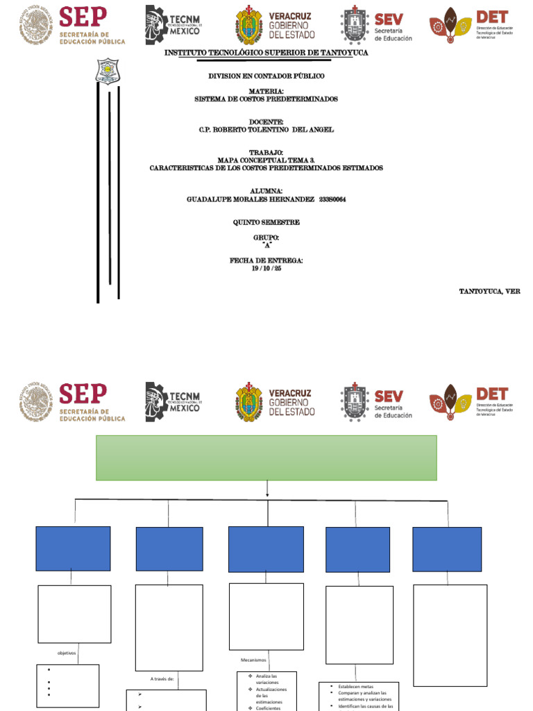Mapa Conceptual Tema 3 | PDF | Contabilidad | Estadísticas