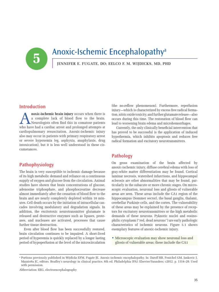 Anoxic-Ischemic Encephalopathy Overview | PDF | Brain | Neuron