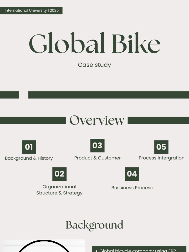 MIS - Case Study Global Bike - Group4 | PDF | Supply Chain | Inventory