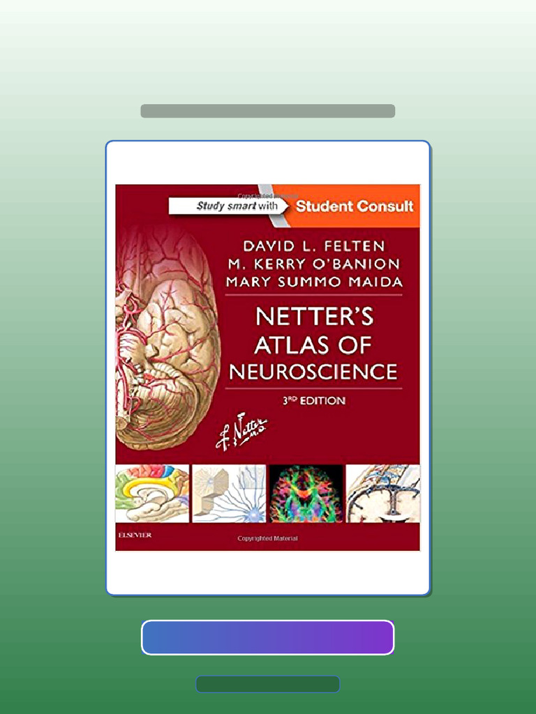 Netter S Atlas of Neuroscience (Netter Basic Science), 3rd Edition by ...