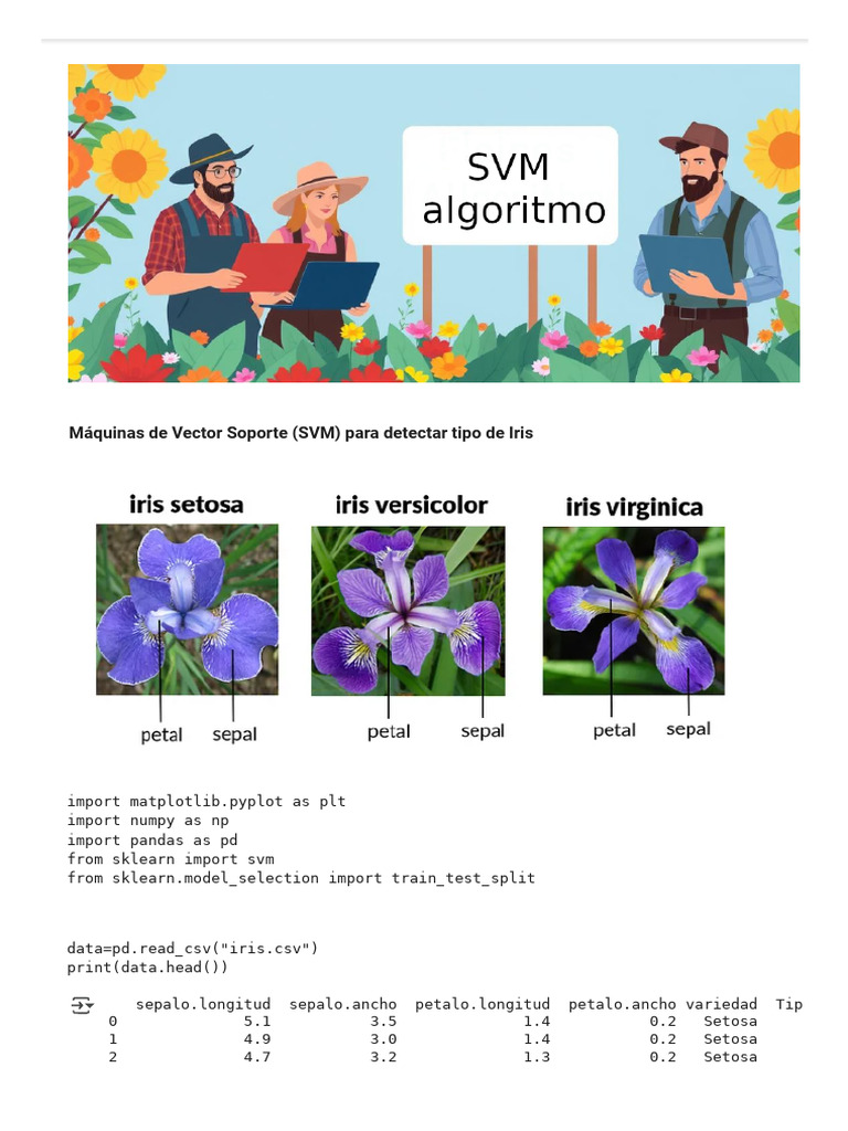 06 SVM Maquinas Vector Soporte Flores Iris | PDF