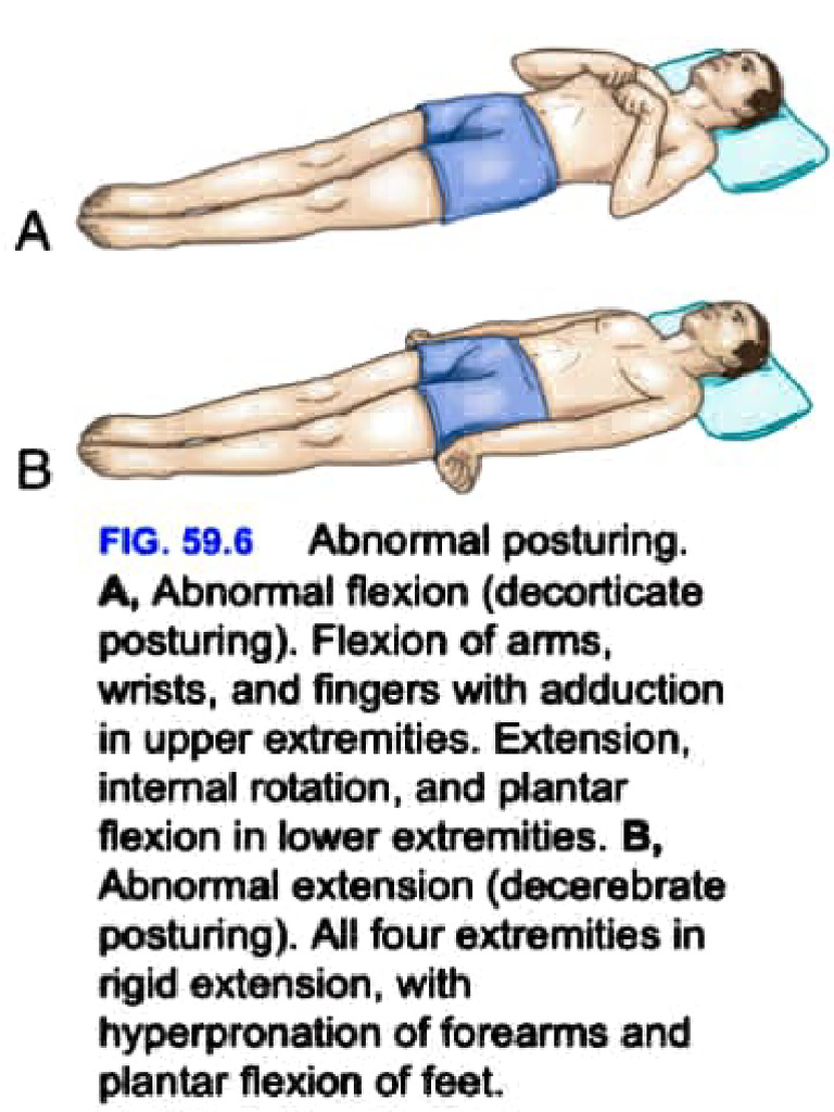 1 File | PDF