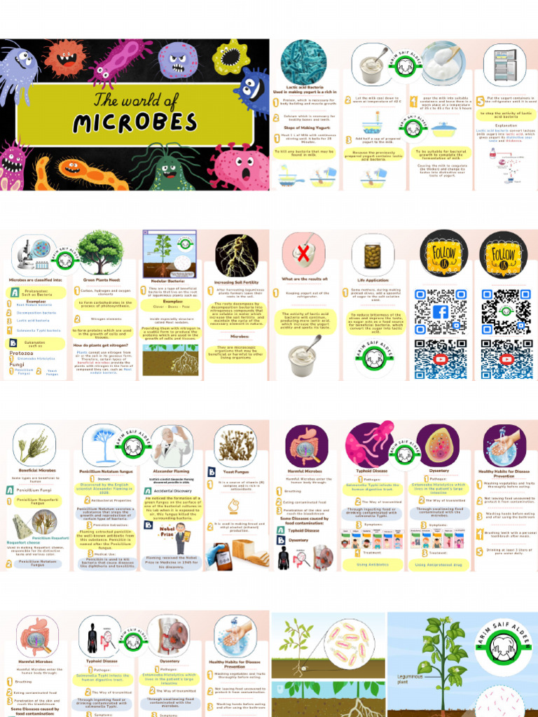 Quick Summary Perp 1 | PDF