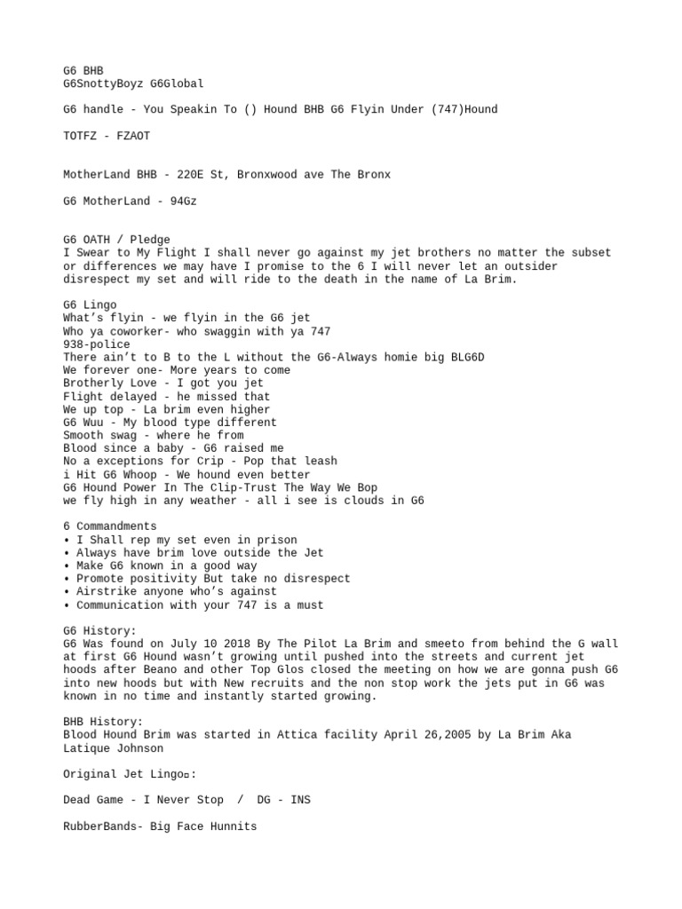 Snotti | PDF