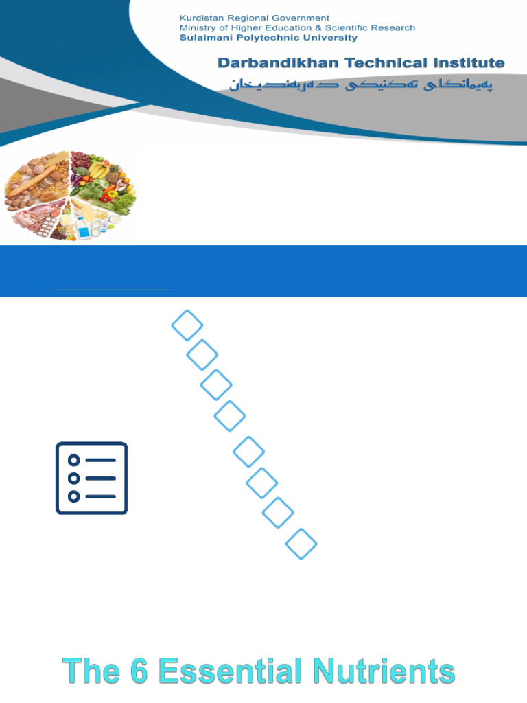 Nutrition &diet Therapy Lect. 02 | PDF | Carbohydrates | Glucose