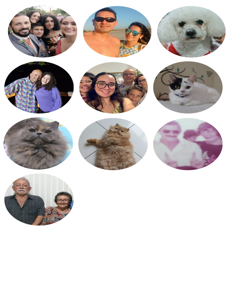 Vermelho Círculo Colagem de Fotos Seu Story | PDF