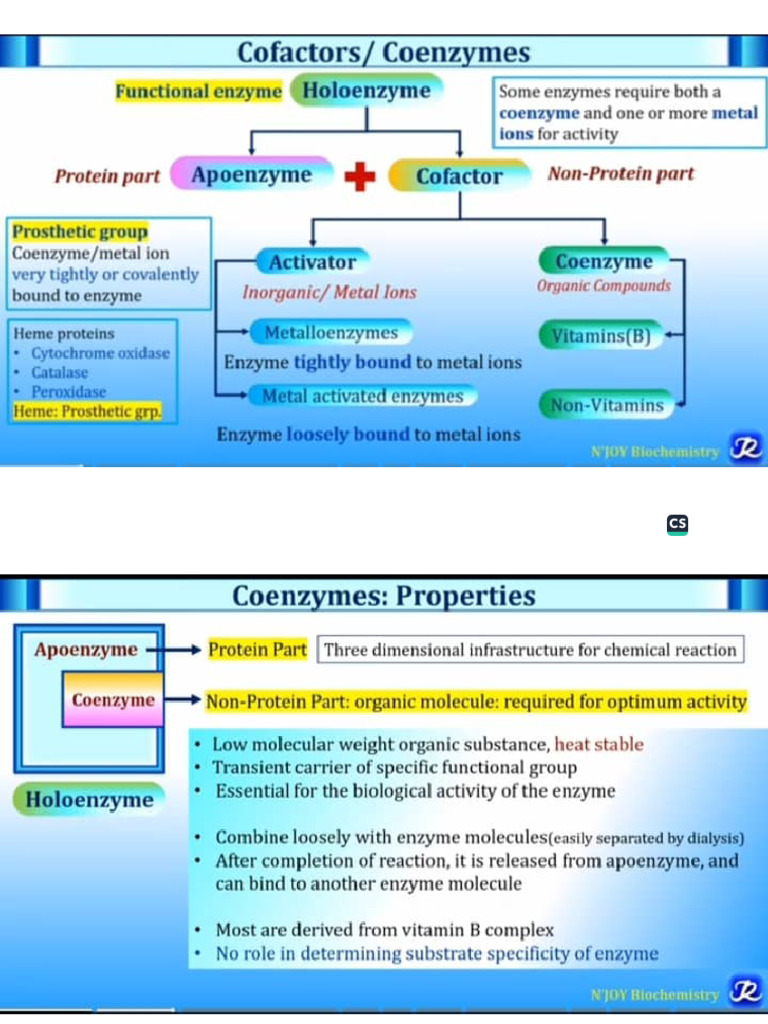 2 - Coenzyme Properties and Examples (Enzyme) | PDF