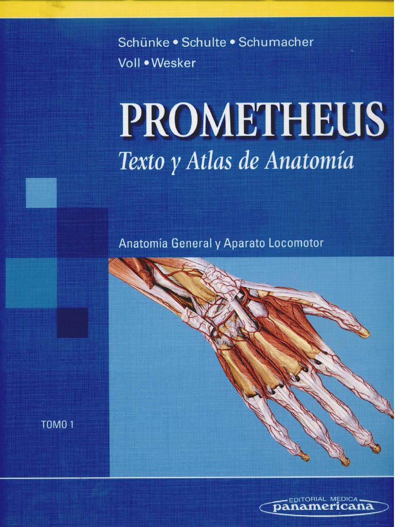2006 Prometheus Texto y Atlas de Anatomía Tomo 1 (Michael Schünke) | PDF