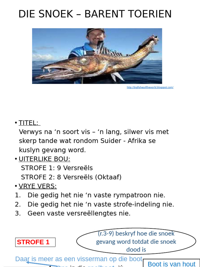 Die Snoek | PDF
