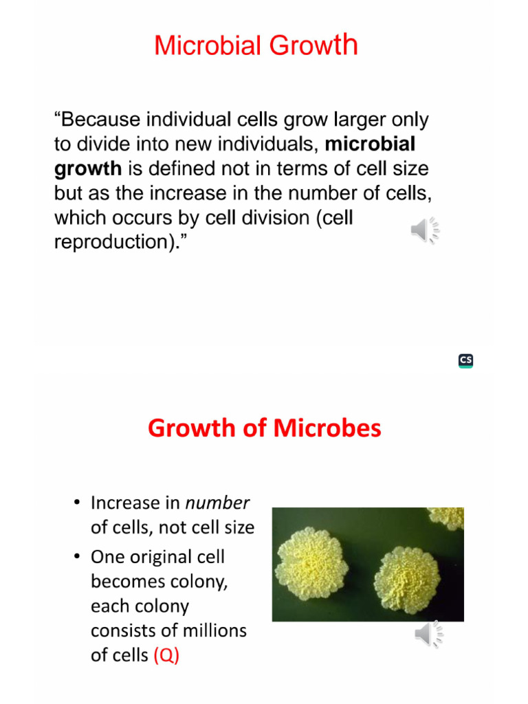 Lec 3 Bacterial Growth | PDF