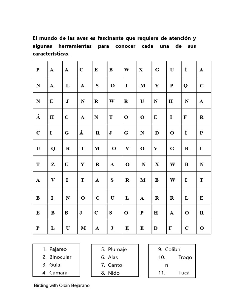 Sopa de letras: Aves y características | PDF | Aves | Ornitología