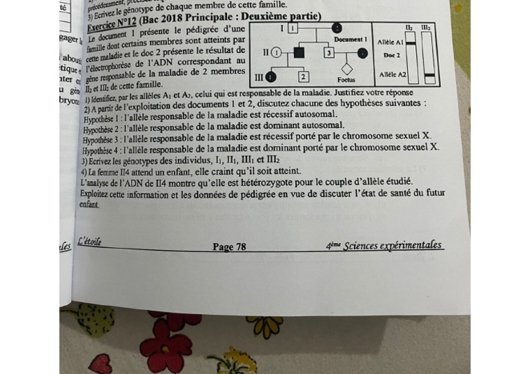 Exercice de Monohybridisme HKA | PDF