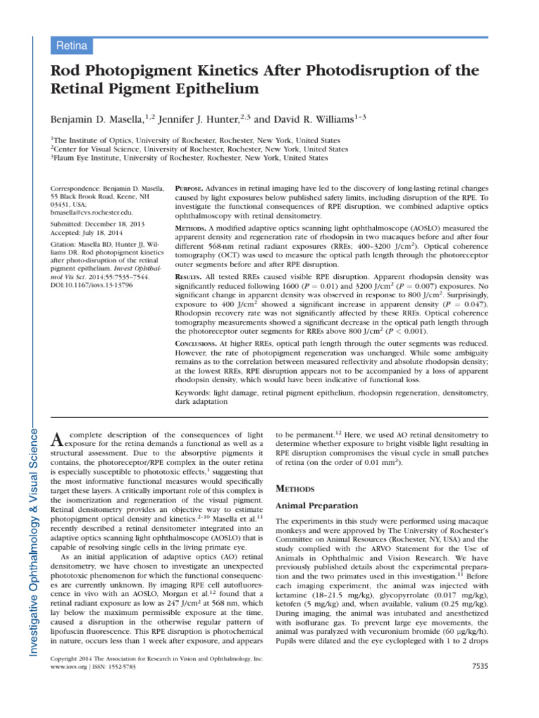 Rod Photopigment Kinetics After Photodisruption of The Retinal Pigment ...