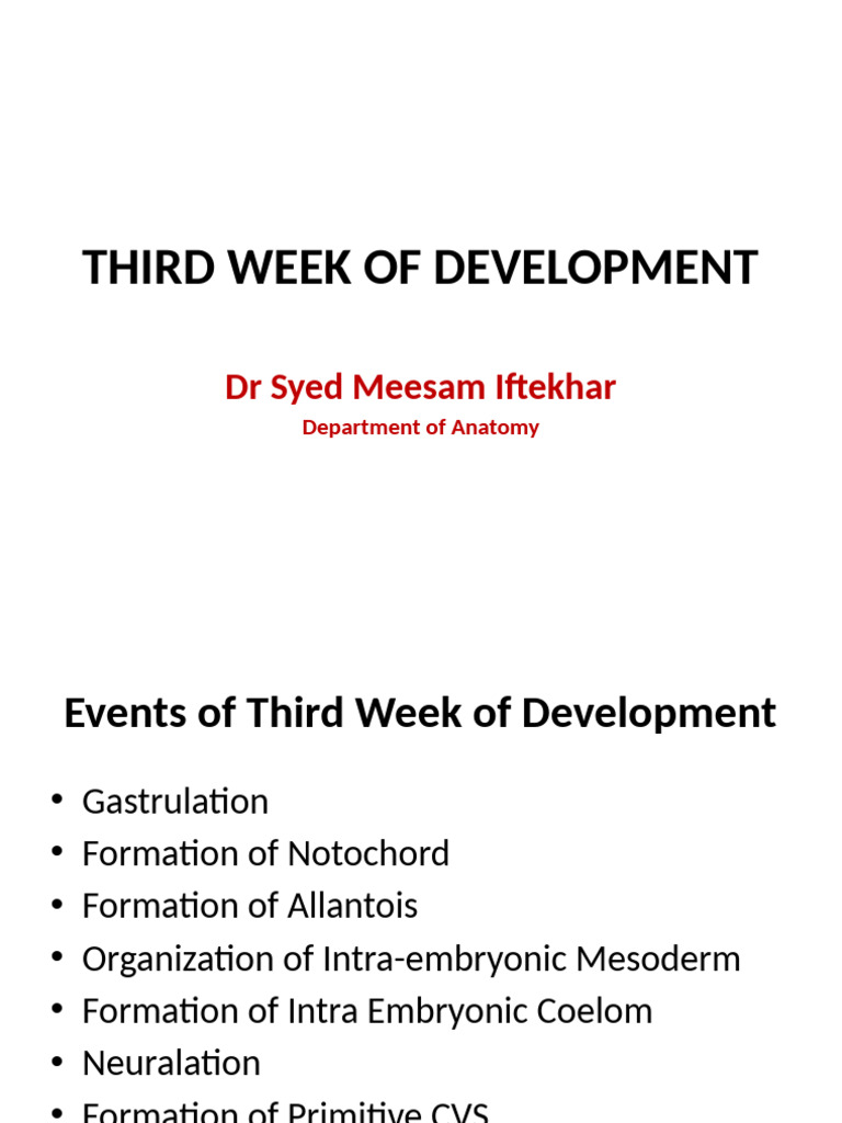 Third Week of Embryonic Development | PDF | Anatomy | Developmental Biology