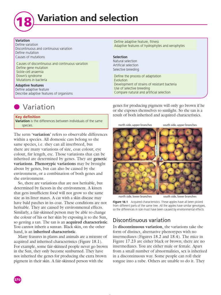Understanding Variation in Genetics | PDF | Mutation | Stoma