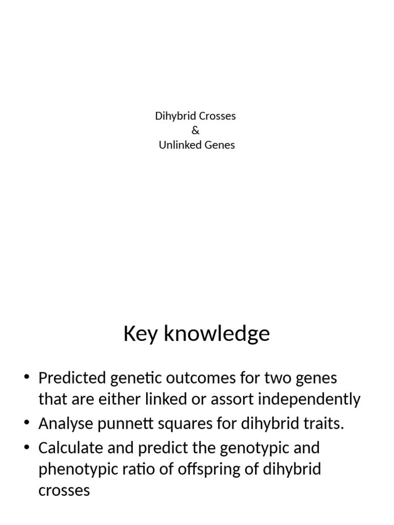 Unlinked Dihybrid Crosses BIO | PDF | Dominance (Genetics) | Genotype