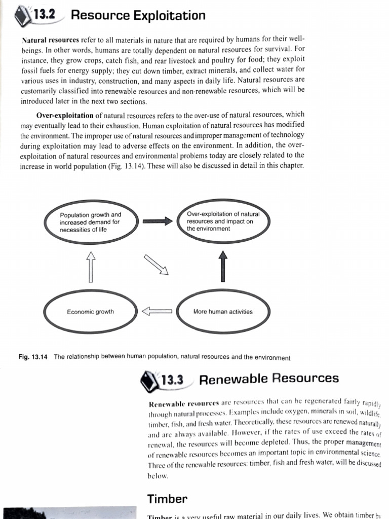 Human Impact On Natural Resources | PDF | Fuels | Fossil Fuels