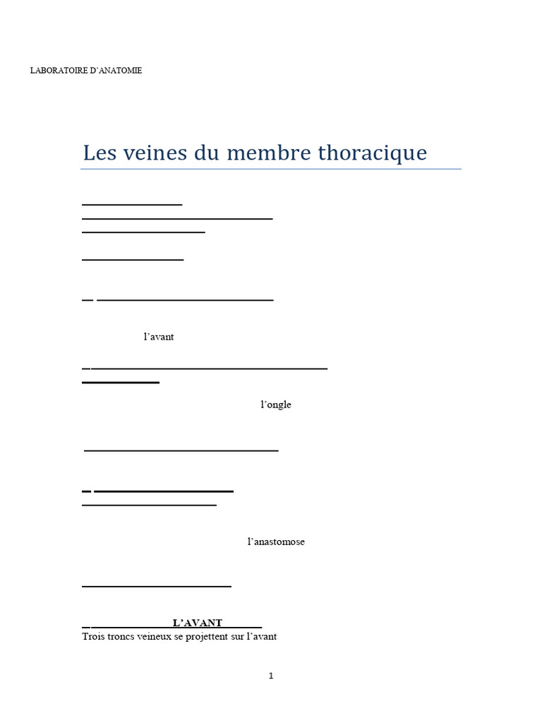 Anatomie des veines du membre thoracique | PDF | Main | Angiologie
