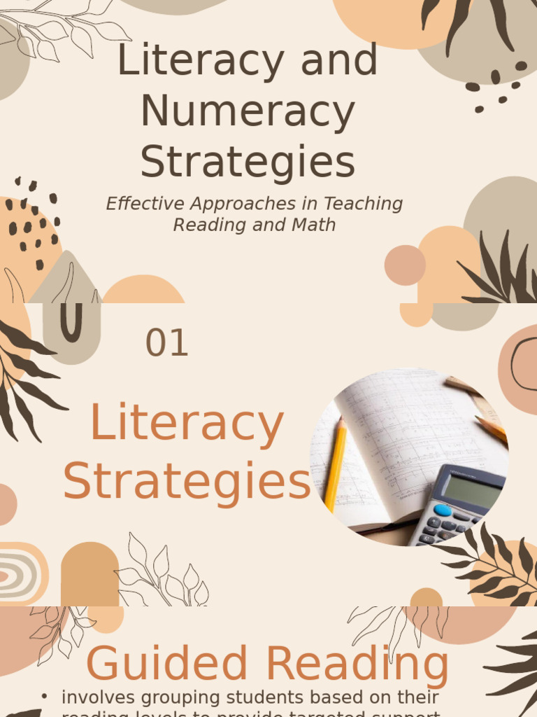 Strategies For Literacy and Numeracy | PDF | Reading Comprehension ...