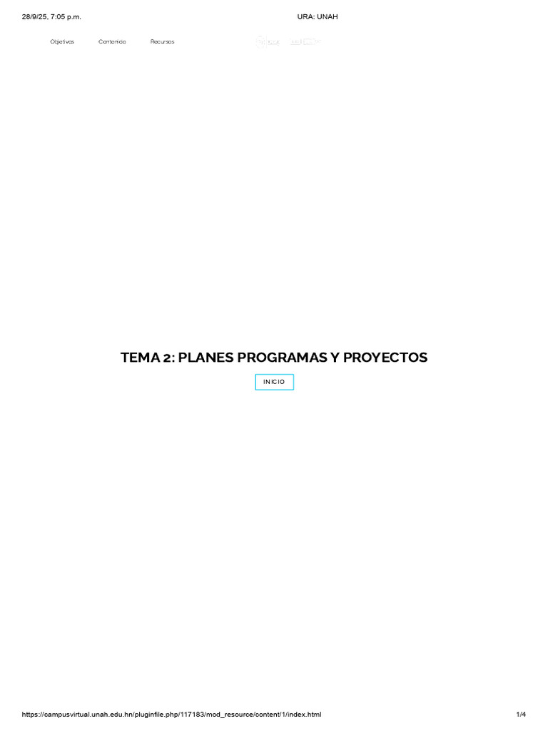 Tema 2 - Planes Programas y Proyectos | PDF | Aprendizaje
