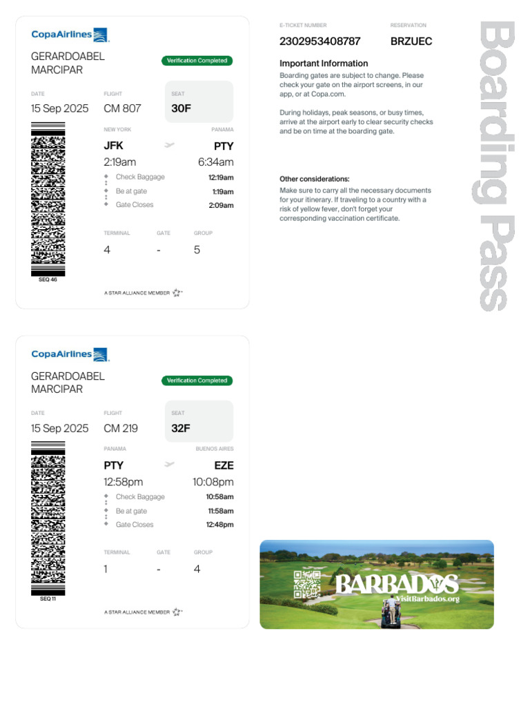 BoardingPass 1 | PDF