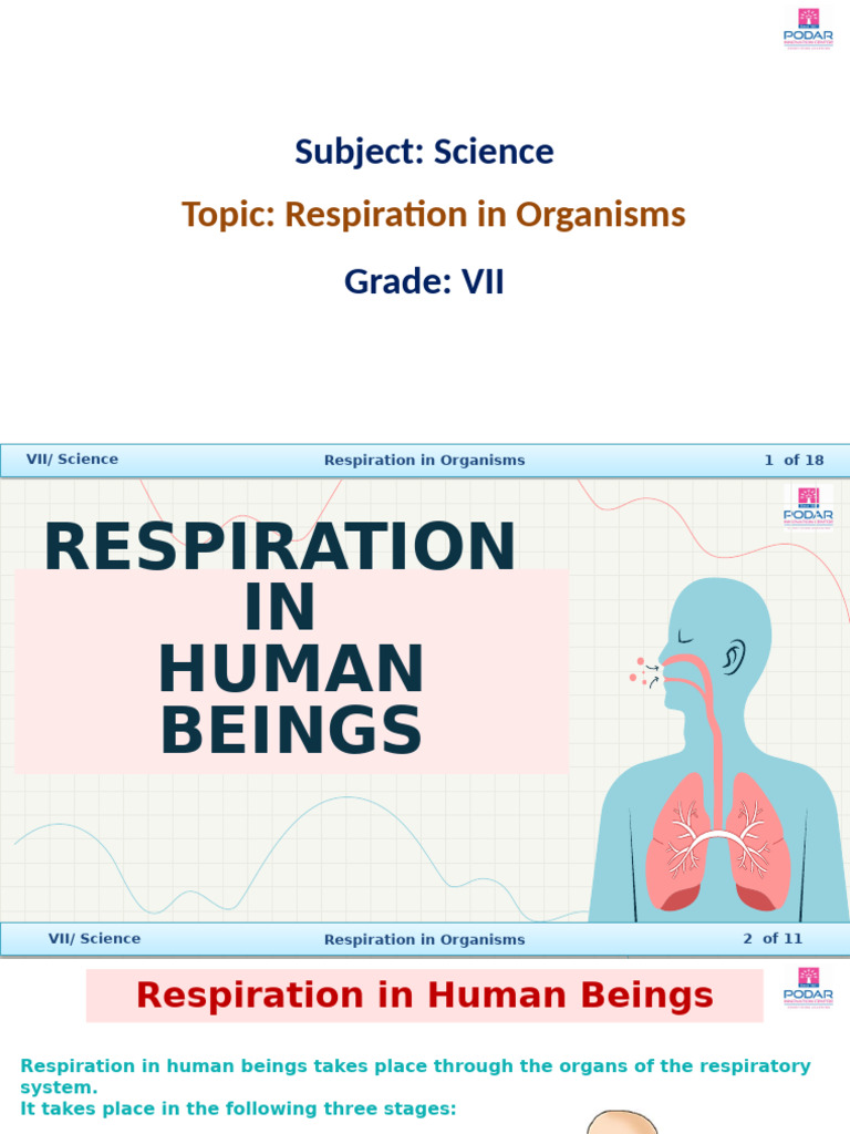 PPT 1 CB VII Sci Respiration in Organisms | PDF | Breathing ...