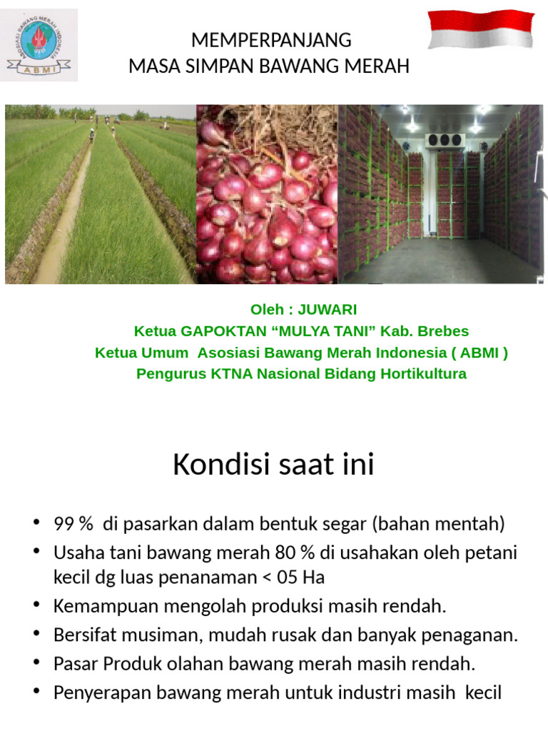Memperpanjang Masa Simpan Bawang Merah | PDF