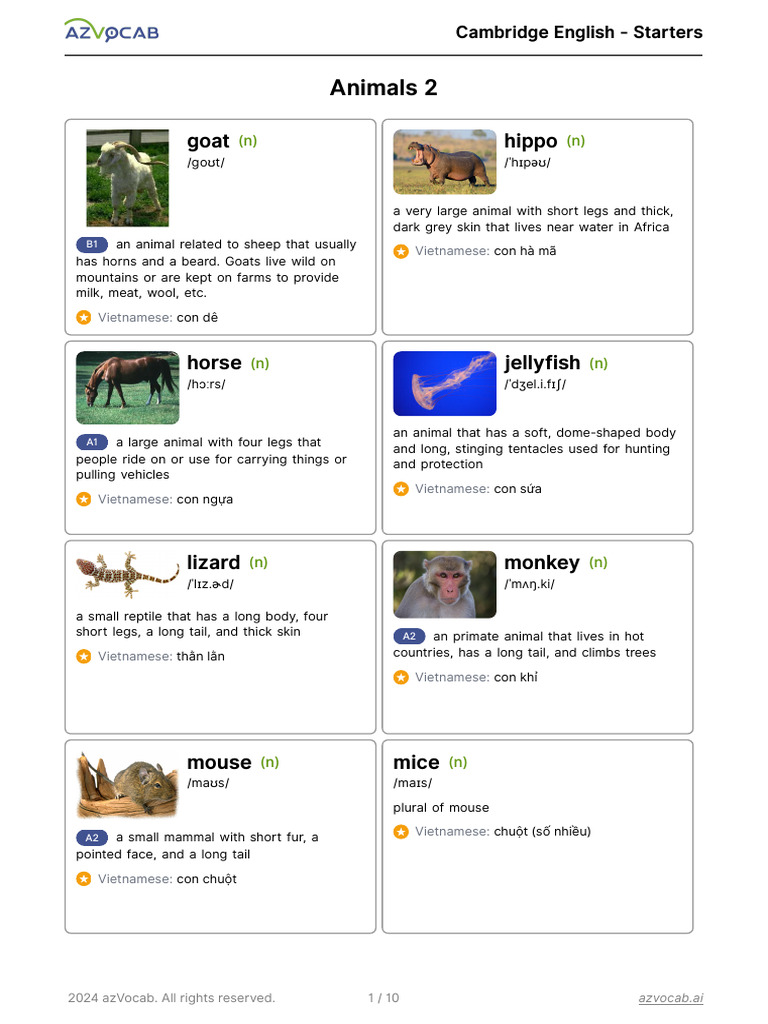 Cambridge English Starters: Animal Vocabulary | PDF | Mouse | Goat