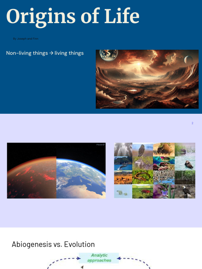 Origins of Life | PDF