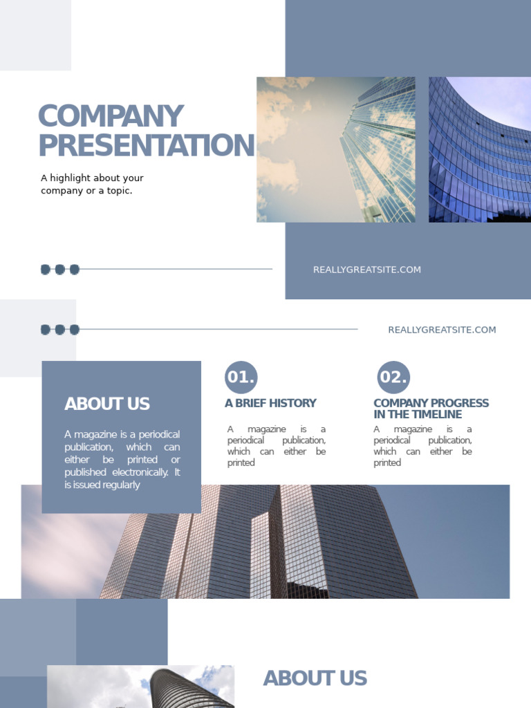 Blue White Professional Company Presentation | PDF