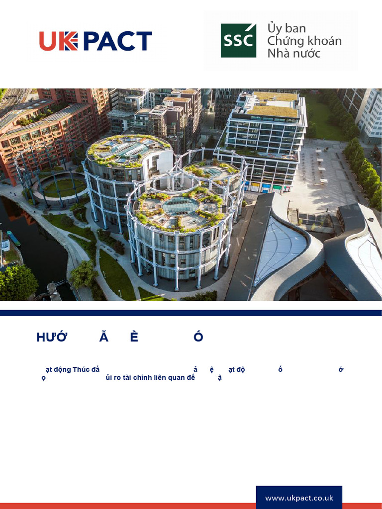UK PACT Huong Dan Nganh Tai Chinh - SSC - VN Final | PDF