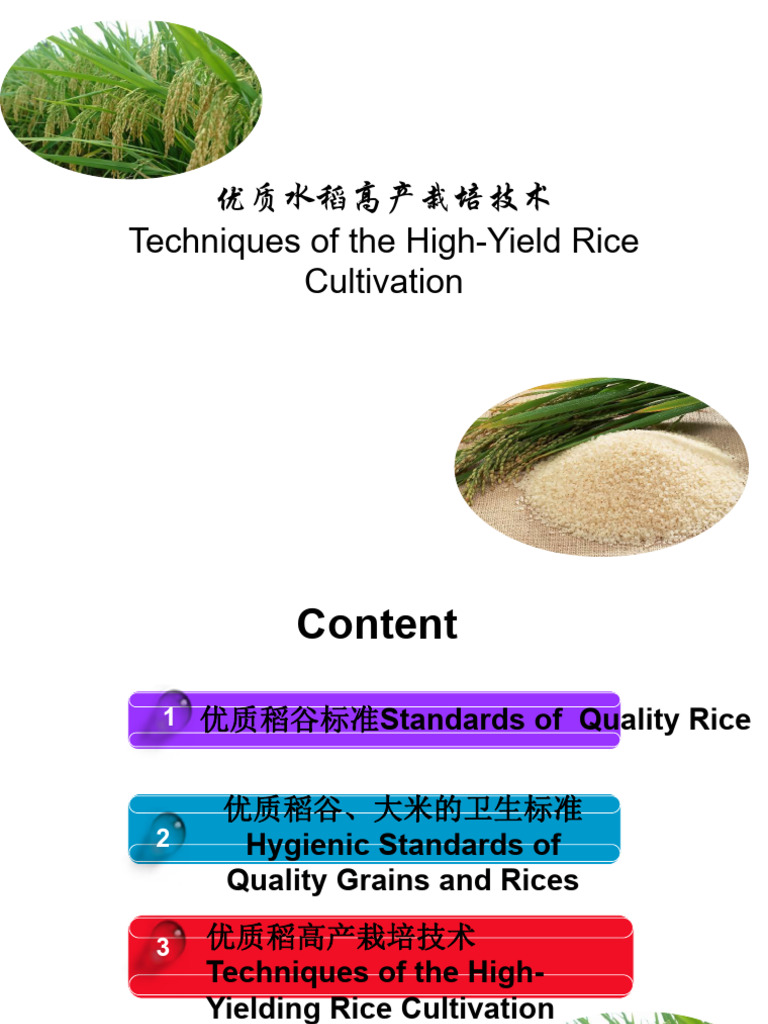 高产优质水稻栽培技术指南 | PDF | Rice | Fertilizer