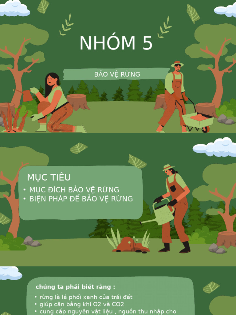 Green Illustrative Forest Restoration Presentation | PDF