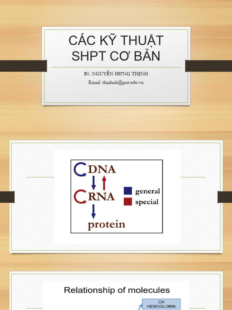 SHPT Bu I 3 Hsls | PDF