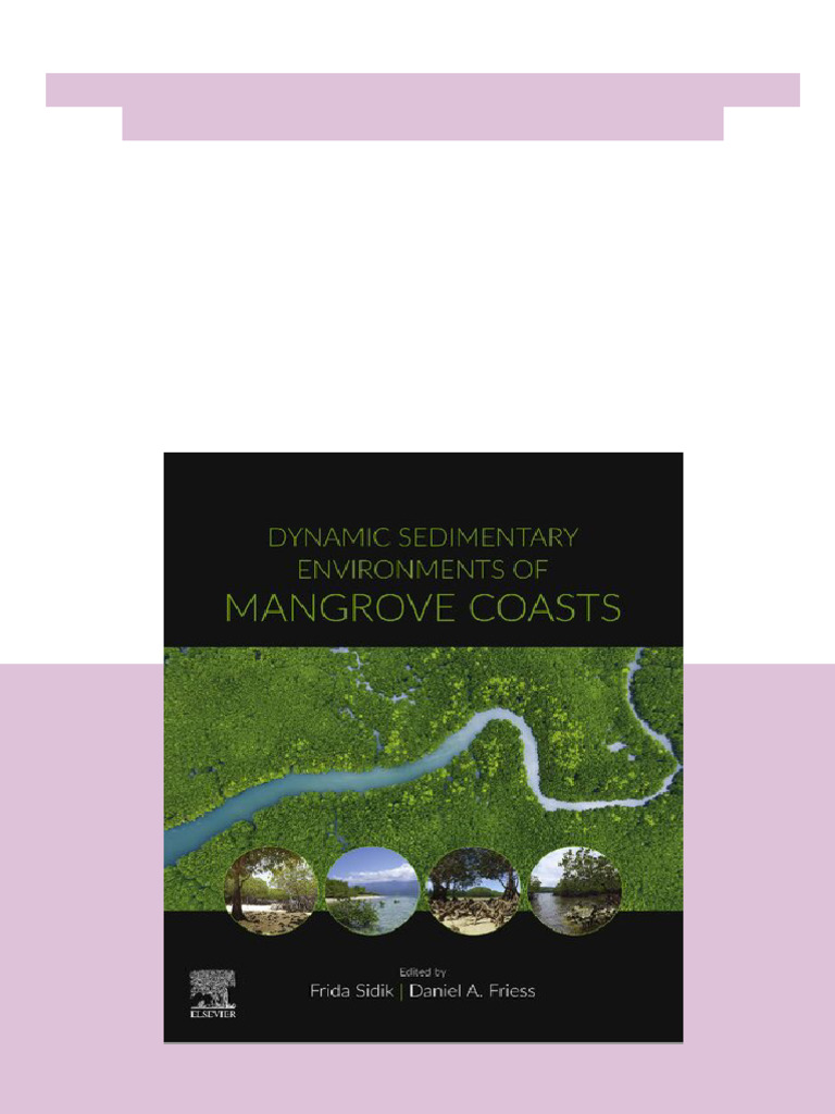 Dynamic Sedimentary Environments of Mangrove Coasts 1st Edition Daniel ...